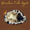 Indian Agate: Meaning, Supreme Powers and Properties - Crystal Meanings ...